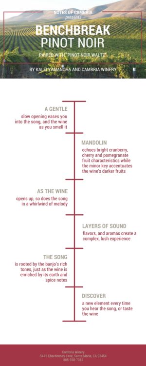 Simple Red Wine Timeline – Infographic – The Tasty Bite