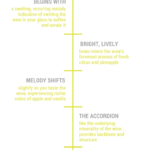 Simple White Wine Timeline - Infographic - The Tasty Bite