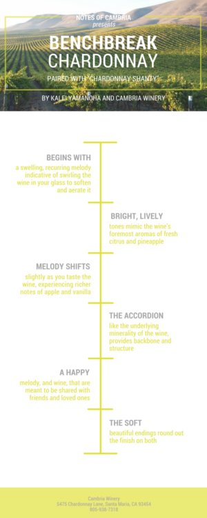Simple White Wine Timeline - Infographic - The Tasty Bite