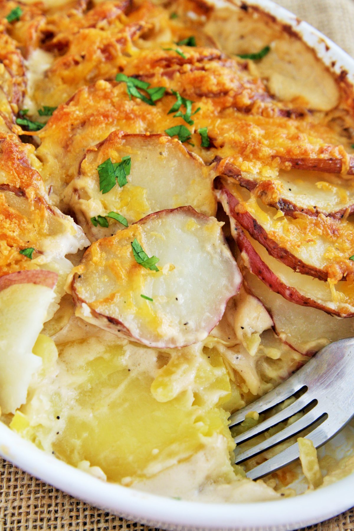 Creamy Potatoes Au Gratin – The Tasty Bite