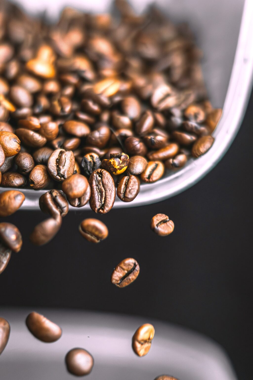 Certified Rainforest Alliance (RFA) Coffee Reviews – The Tasty Bite