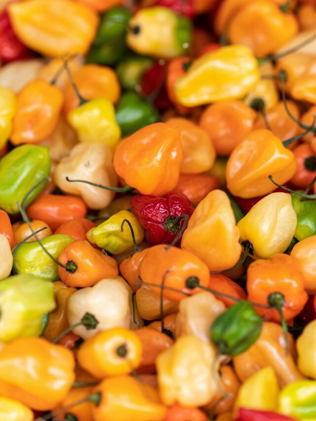 Scotch Bonnet vs Habanero Peppers: What’s the Difference? – The Tasty Bite